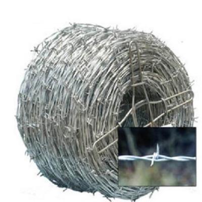 China Hot Dipped Galvanize 14 gauge galvanized barbed wire for South America Market for sale