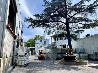 Chine Poudre d'habillage hémostatique d'engrais de la chitine 9012-76-4 agricole de catégorie comestible à vendre