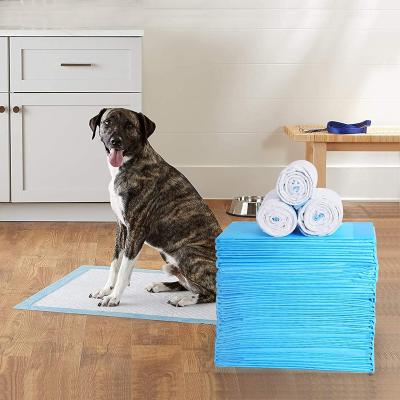 China Pet Dog Diapers Super Absorbent Cat Training Urine Pee Pads Healthy Clean Wet Mat Disposable Dog Diaper Training Pad for sale
