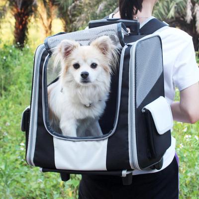 China Telescopisch van de de Reisdrager van het Handvathuisdier de Rugzakkarretje voor Kleine Honden en Katten Te koop
