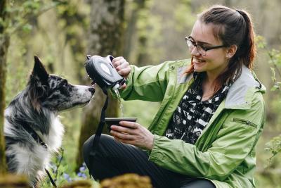 中国 反ねじれ折りたたみ犬の鎖の水差しのABSプラスチック 販売のため