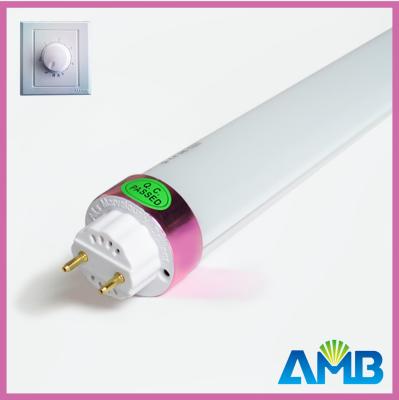 China 12W DC 12V/24V Dimmable T8 führte Energieeinsparung für Innenbeleuchtung zu verkaufen