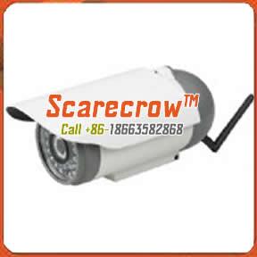 China Drahtlose IP-Kamera Scarecrow™ der drahtlosen Mikrowellenkamerawasserdichten Infrarotnachtsicht zu verkaufen