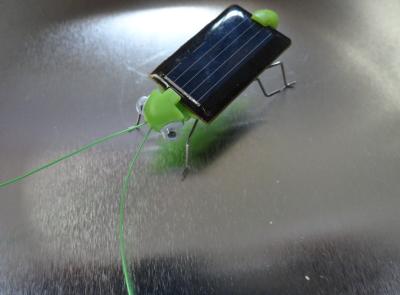 China Solarheuschrecke, Solarheuschrecke (Solarspielwaren) Spielzeug-Solar, Solarspielwaren, minimale Quantität mehr zu verkaufen