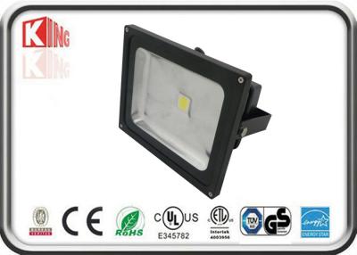 Cina Illuminazione di inondazione di alto potere 10 W LED per il bordo di pubblicità, alluminio in vendita
