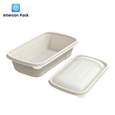 Chine La pulpe de papier dégradable a moulé des plateaux favorables à l'environnement pour l'hamburger à vendre