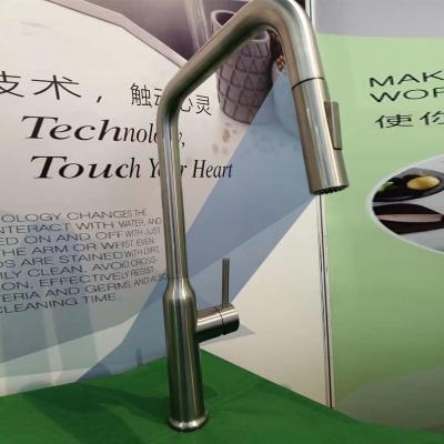 Cina Estragga l'alto rubinetto Eco della cucina dell'arco del tubo flessibile allungabile amichevole in vendita