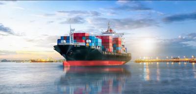 Cina Porta a porta FBA Spedizioniere marittimo Agente di spedizione DDP dalla Cina agli Stati Uniti Canada Europa/Stato del Medio Oriente in vendita