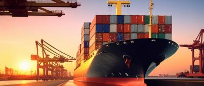 Cina La compagnia di spedizione più economica Spedizione marittima dalla Cina agli Stati Uniti Regno Unito Canada Europa Agenti di spedizione FBA in vendita