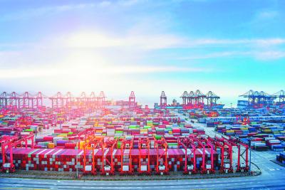 Cina Spedizioni marittime professionali porta a porta Spedizionieri marittimi Agenti di spedizionieri Spedizionieri cinesi USA Canada Messico in vendita