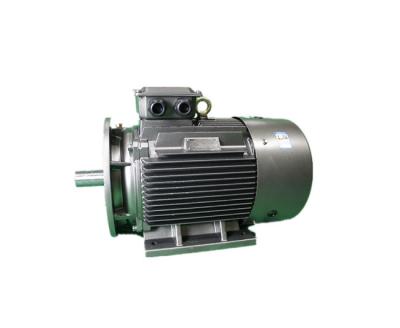 Cina Bassa tensione IMB3 3 motore elettrico asincrono del motore YE3 315L-4 185kW di fase in vendita