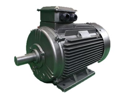 Cina Raffreddamento asincrono trifase del motore IC411 di YE4 80M1-2 0.75KW LV in vendita