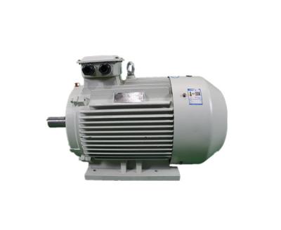 Cina 132KG motore asincrono della gabbia di scoiattolo di 3 fasi YE3 160M2-2 15KW in vendita