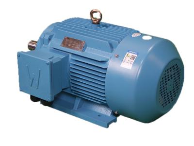 Cina Motore asincrono trifase B3 LV di YE3-315S-2 110 380V IP55 IM in vendita