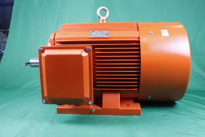 Cina Classe F di YE3 100L1 6 Palo motore 1.5kW IP55 di Asychronous di 3 fasi in vendita