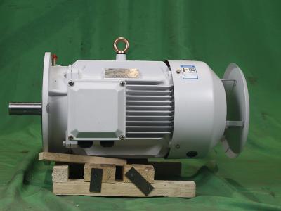 Cina Coppia di torsione bloccata del motore asincrono di CA della FIM B3 di YE3 160M-6-7.5-380V-IP55-Class in vendita