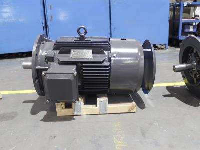 Cina Fase asincrona 220kW IP55 del motore 3 di CA della classe F di YE3 355L1 6 Palo in vendita