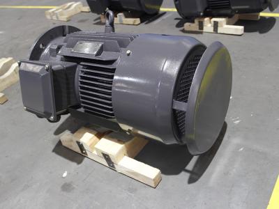 Cina Classe F di YE3 355L 6 Palo motore 250kW IP55 di Asychronous di 3 fasi in vendita