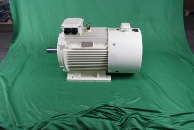 Cina IEC variabile 60034-30 del motore di azionamento di frequenza di YVFE3 250M-2 55kW 380V in vendita
