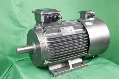 Cina Motore elettrico 2980RPM di chilowatt 380V Vfd di YVFE3 280M-2 90 in vendita