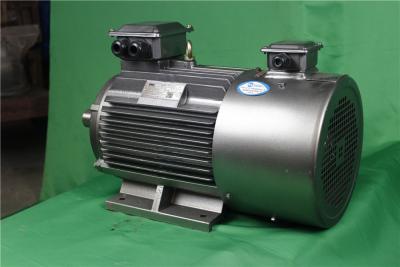 Cina Motore variabile 2975RPM di frequenza di chilowatt 380V 2P di YVFE3 315S-2 110 in vendita