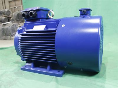 Cina YVFE3 315L1-2 160 chilowatt di 380V Vfd tensione 2975RPM del motore di bassa in vendita