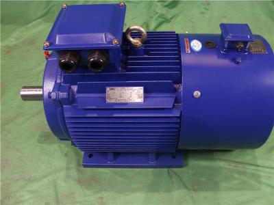 Cina Motore variabile 2975RPM di frequenza di bassa tensione di YVFE3 315L-2 185kW 380V in vendita
