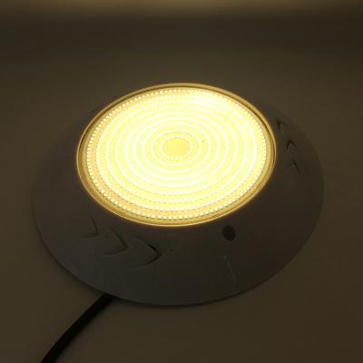 Cina Luci all'aperto telecomandate dello stagno 24W dell'ente di plastica in vendita