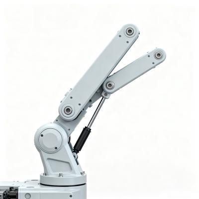 China Eje de suspensión de brazo giratorio para robots especiales de mecanizado CNC China Custom en venta