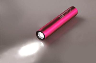Cina La banca ricaricabile di potere con 2400MAH per iPad, Samsung cataloga, iPhone, i cellulari, MP3 in vendita