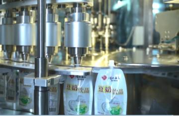 Customizable Spout Pouch Filling Capping Machine for Different Bag Sizes