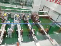 Quality 30 M/min Feeding Speed Automatic Packaging Line for Paper Bags 180mm—430mm Width for sale