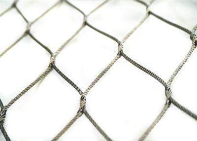Cina 60 cavo dell'uccelliera dell'ara del reticolato dell'uccelliera dello zoo di angolo 1.5mm di grado per il recinto di recinzione in vendita