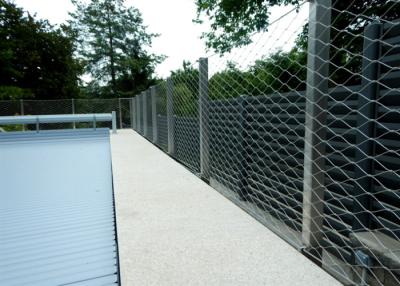 Cina Cavo metallico molle dei corrimani 2.0mm che cattura con la rete personalizzazione di lunghezza di 2.4m in vendita