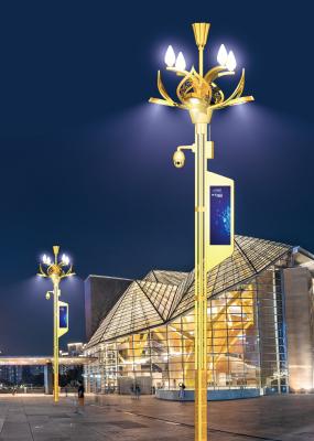 Cina antenna dell'iluminazione pubblica di 5g Wifi automatica sopra fuori per la luce domestica della lampada della strada dell'iarda in vendita