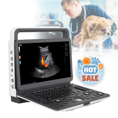 China Best Price CW, TDI , PDI Handheld Portable Ultrasonido 3D 4D Veterinary Doppler Ultrasound Machine for sale
