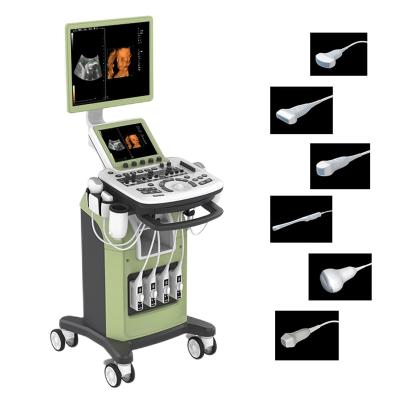 China Zoncare 3D/4D Trolley Medical Digital Color Doppler Ultrasound System for Hospital for sale