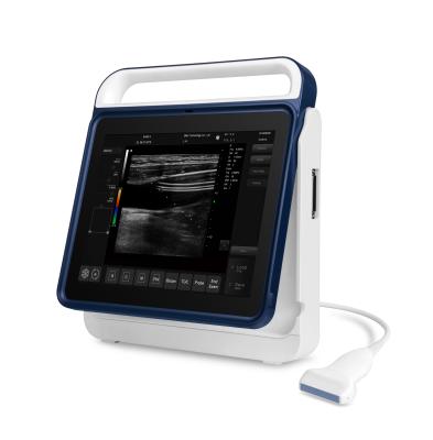 China Portable Vet Ultrasound Machine Veterinary Ultrasound Ovum Pick-Up Egg Collection Ultrasound Scanner for sale