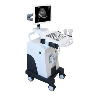 China Trolley Ultrasound Machine Echo Price for sale