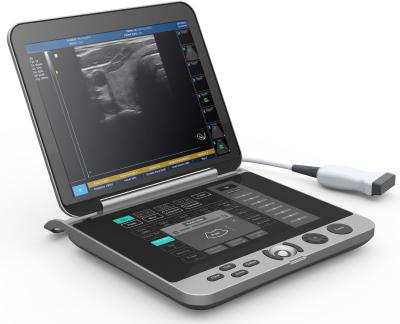 China High Resolution Laptop B/W Ultrasound MSK Ultrasound Scanner Laptop Ultrasound Machine for sale