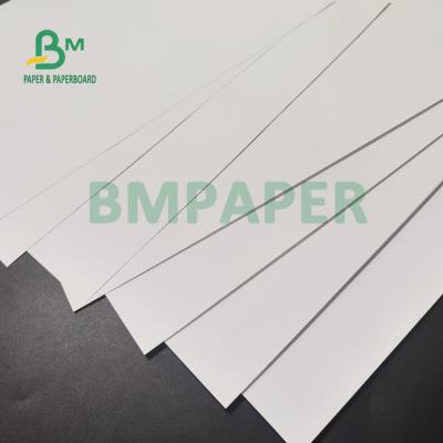 China 80# 100# C2S Matte Text Paper For Brochures 12'' x 18'' Double Side Printable for sale