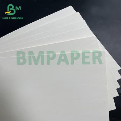 중국 180gsm + 18gsm Single Side PE Coated White Cup Paper Bowls Paper 판매용