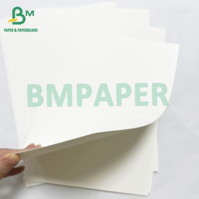 중국 350gm 흰색 좋은 인쇄성 코팅 컨테이너 보드 판매용