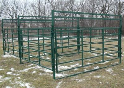 Κίνα 12 FT X 5 FT Horse Corral Fencing προς πώληση