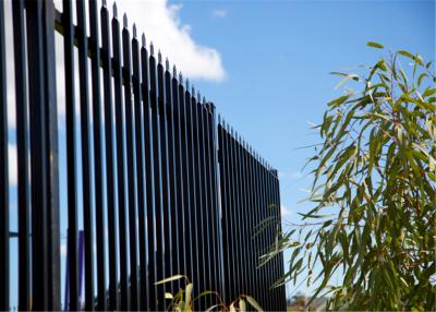 Chine Crimped Top Powder Coated Steel Fencing à vendre