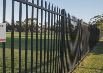 Κίνα Black powder coated security backyard metal steel picket fence προς πώληση