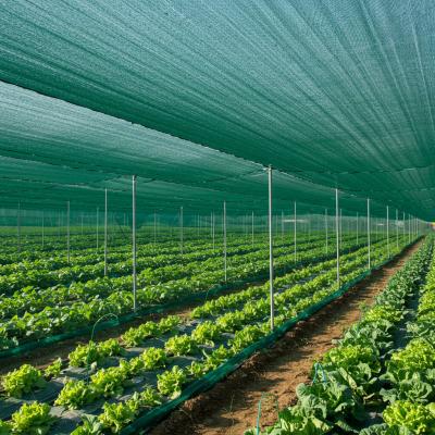 China Garden Shade Netting Shade Net Exporters Shade Net Supplier Shade Nets Shade Netting For Plants Agriculture Shade Net Shade Netting Shade Net Shade Net Manufacturers Sun Shade Net Shade Cloth for sale