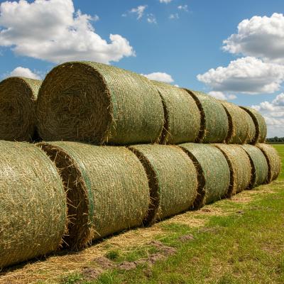 China Manufacturer HDPE Pallet Balers Net Wrap For Farm Hay Silage Corn Stalk Straw Bale Agriculture Bale Net Wrap for sale