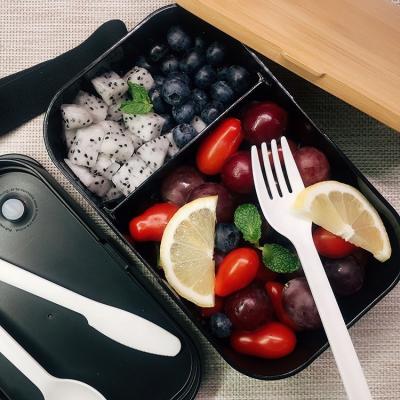 Eco-friendly Custom Logo BPA Free Lunch Box for Adults Kids Microwave and