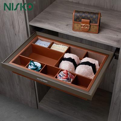 Cina Cesto estraibile nascosto per riporre la biancheria intima, reggiseni e cassetti dell'armadio in vendita